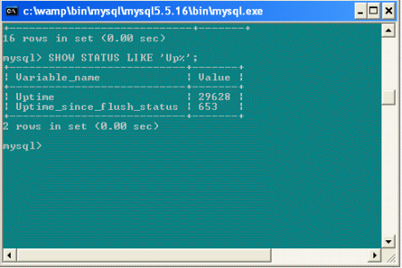 How to Determine Session Status in MySQL